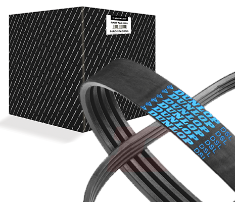 Dunlop B173/BAND Wrapped Banded V-Belt